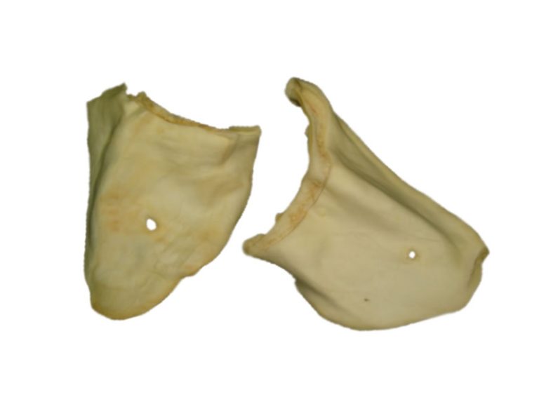 Orejas de Vaca – Blondi