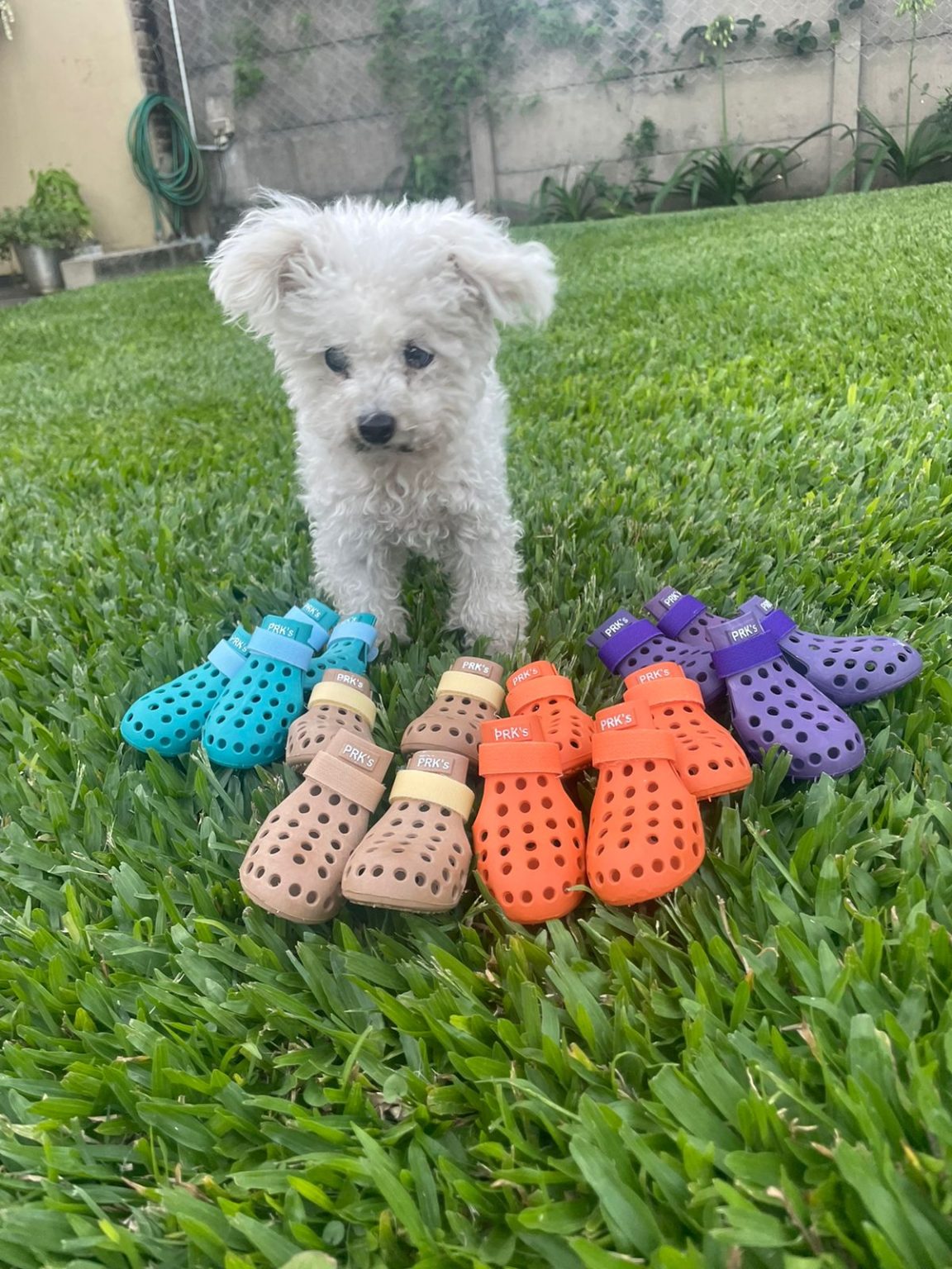 Calzado Para Perros Tipo Crocs Blondi Accesorios Para Mascotas calzado-para-perros-tipo-crocs-blondi-accesorios-para-mascotas