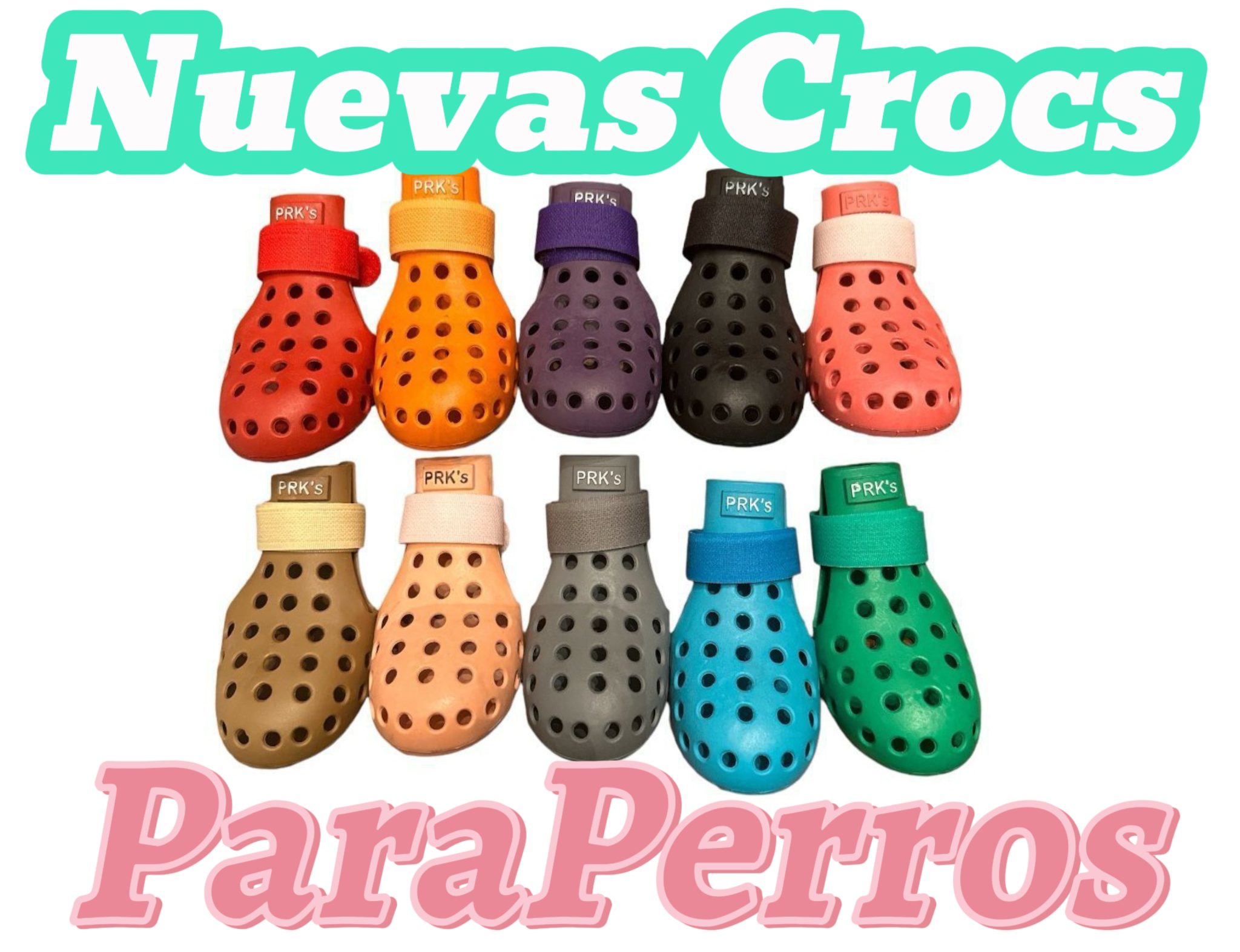 Blondi – Accesorios para Mascotas